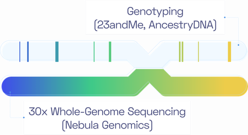 Nebula Genomics - 30x Whole Genome Sequencing - DNA Testing